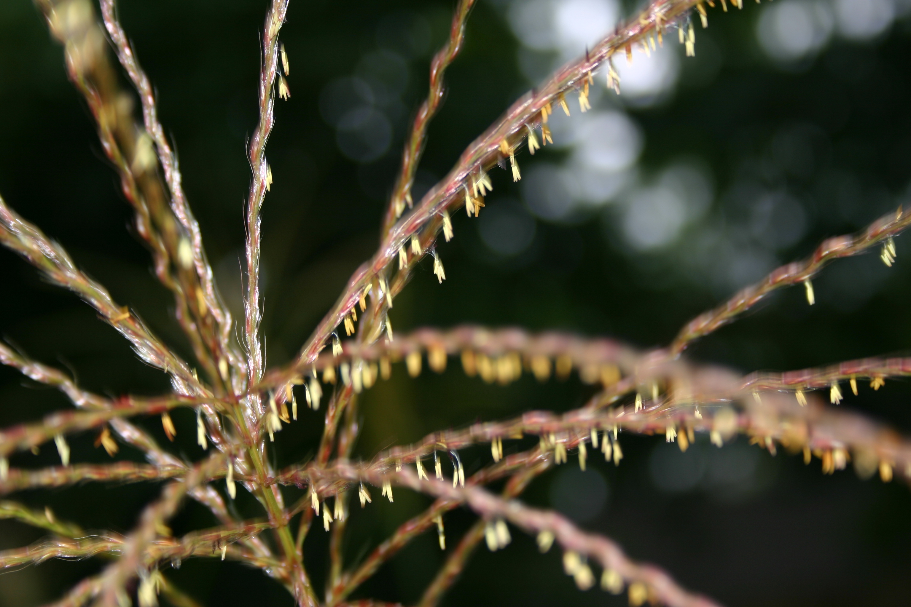 Then and Now. – Performance Poems